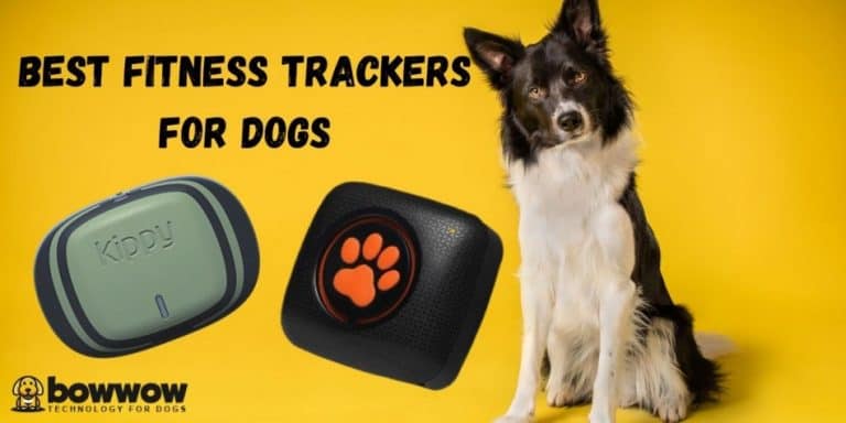 Best Fitness Trackers for Dogs | 4 Activity Monitors Reviewed - Bowwowtech